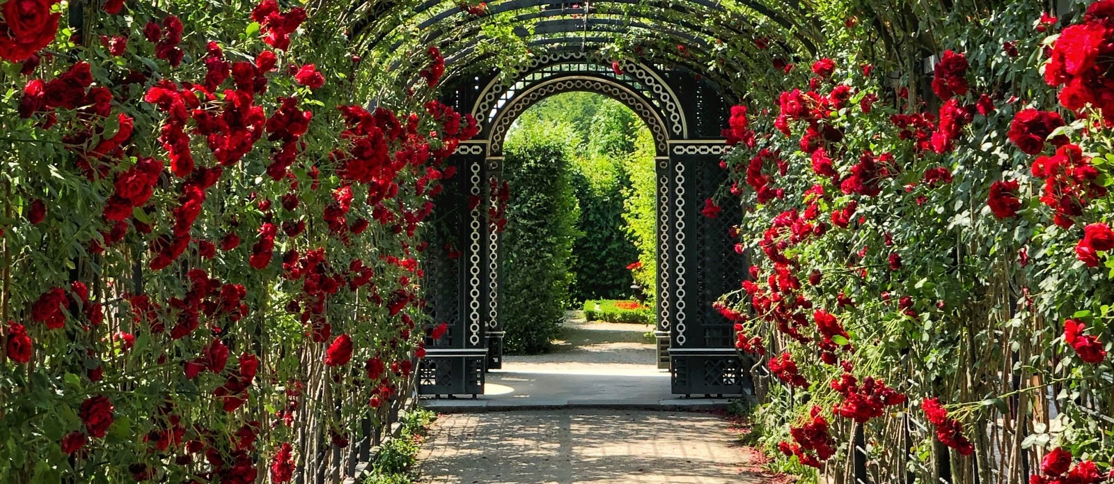 Decipher every riddle hidden in this mysterious quiz! - Wise Trivia