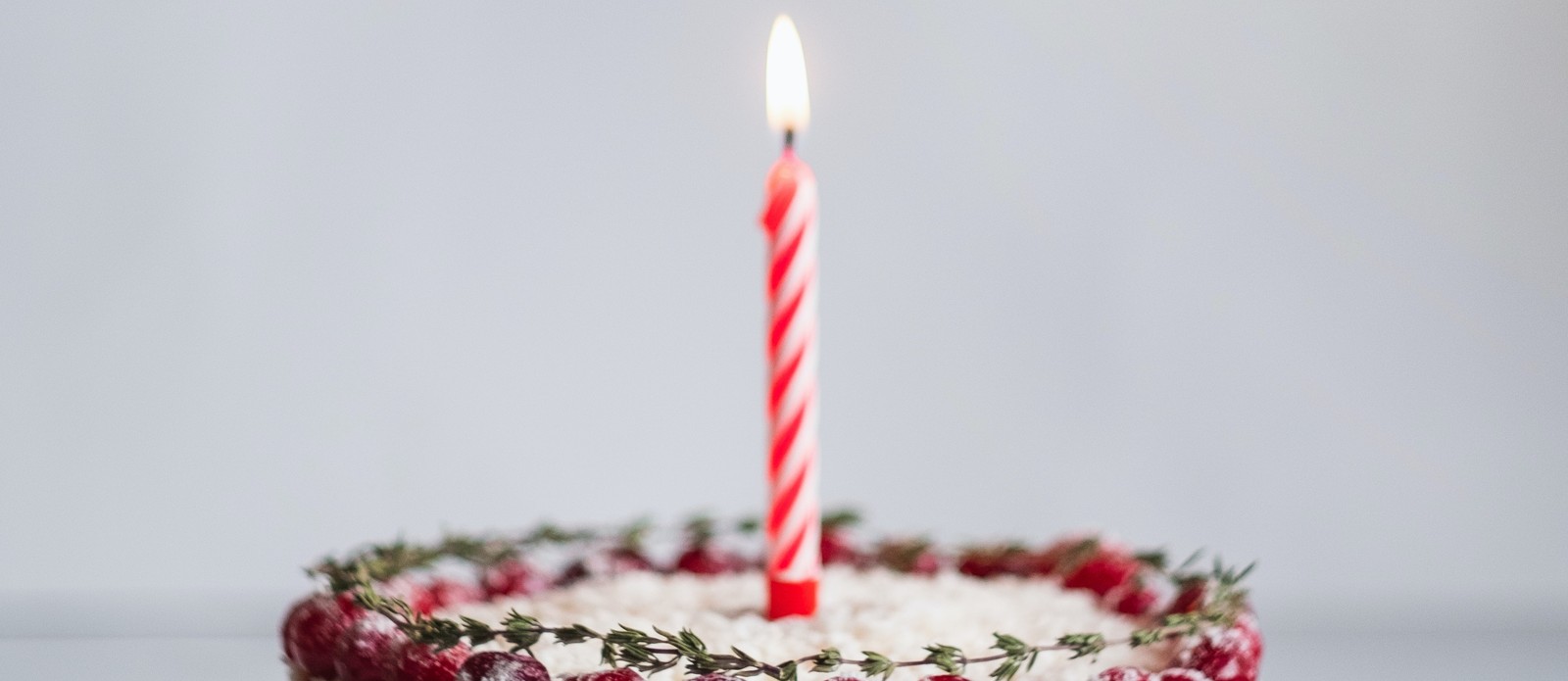 Have a bite of these freshly baked trivia questions! - Wise Trivia