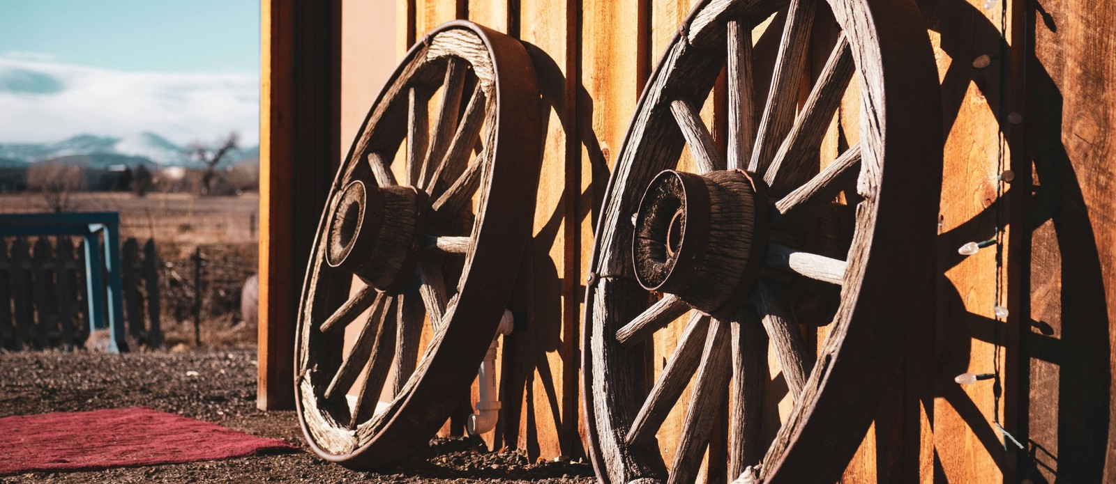 Get rollin'! How many things with wheels can you guess? - Wise Trivia